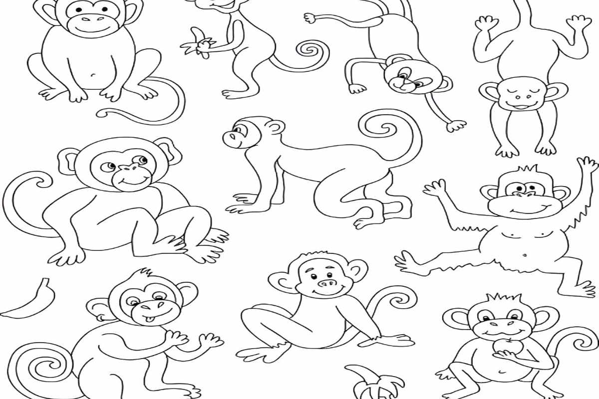 Drawing:uqp7yroofp0= Monkey Techniques for Realistic Art